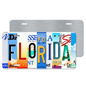 Florida License Plate Wall Decor: Aluminum Car Tag, Sunshine State Gift ...