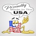 250th Anniversary License Plate: Patriotic USA Semiquincentennial ...