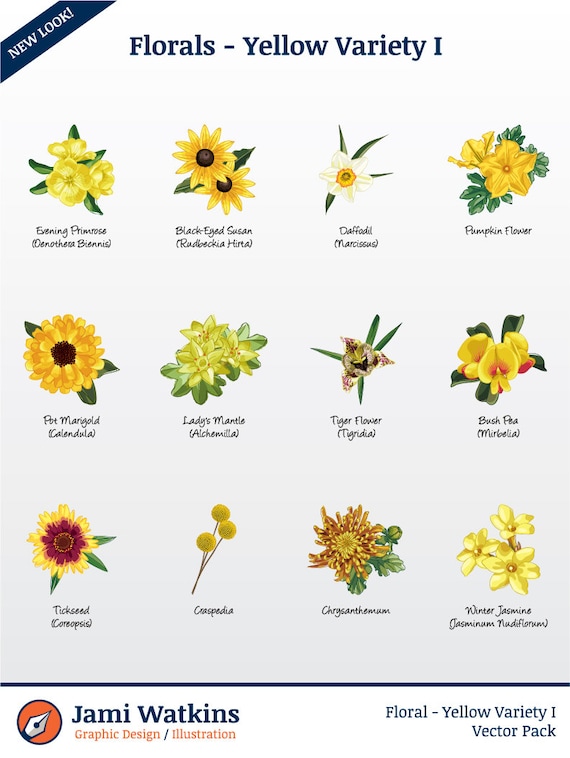 Florals yellow Variety 1 Vector Illustration Pack set of - Etsy
