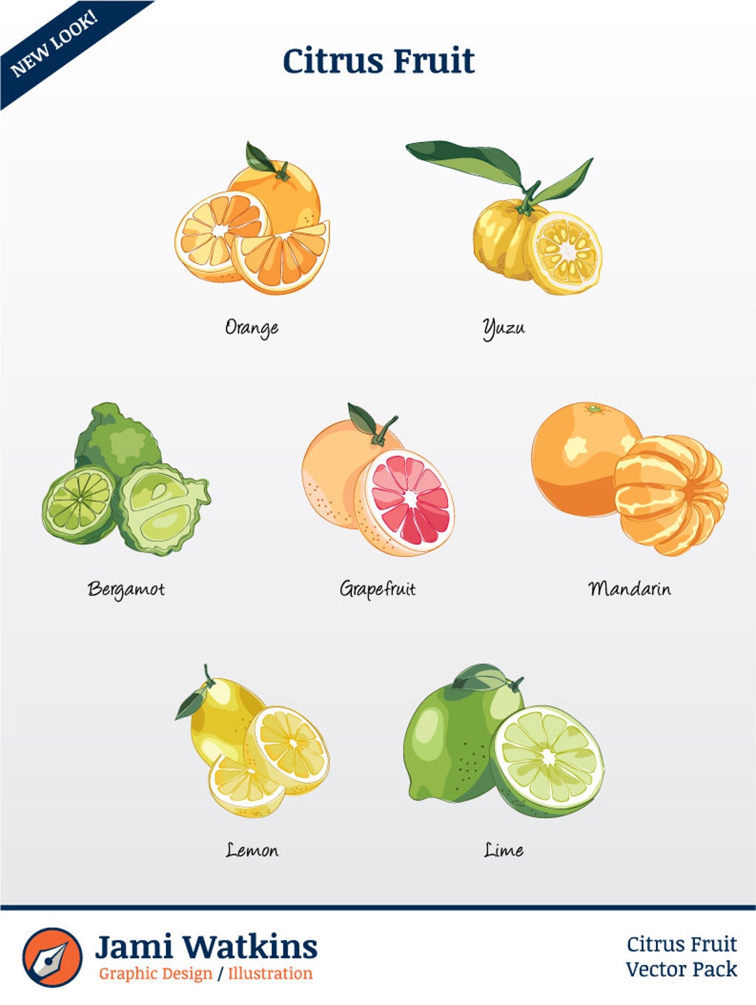 Citrus Fruit Vector Illustration Pack (set of 7) / Clip Art [files: PNG ...