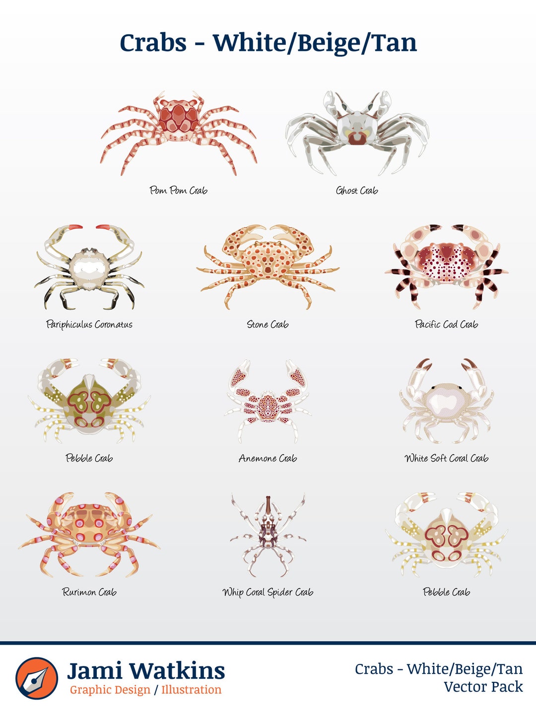 White/beige/tan Crabs Vector Illustration Pack (set of 11) / Clip Art ...