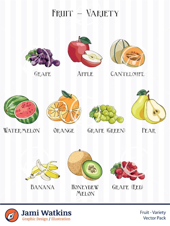 Fruit variety Vector Illustration Pack / Clip Art files: | Etsy