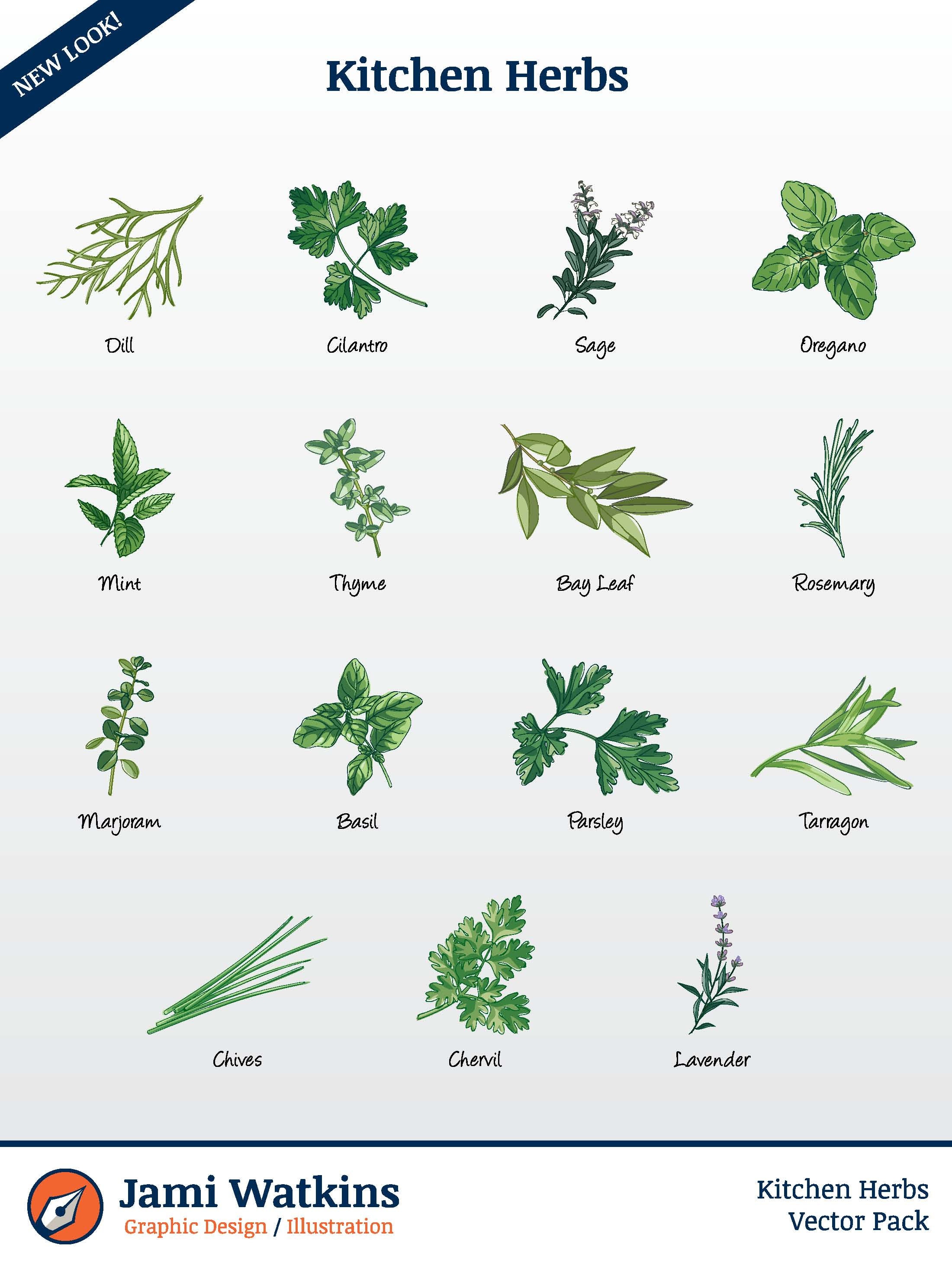 Kitchen Herbs Vector Illustration Pack (set of 15) / Clip Art [files ...