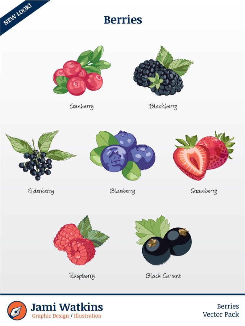 Berries Vector Illustration Pack set of 7 / Clip Art files: - Etsy