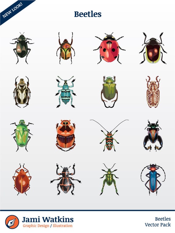 Bug Clip Art