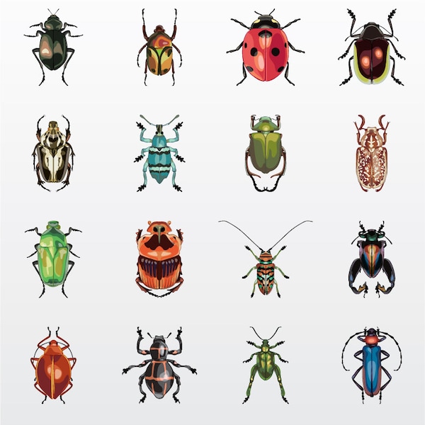 Bug Clipart - Etsy