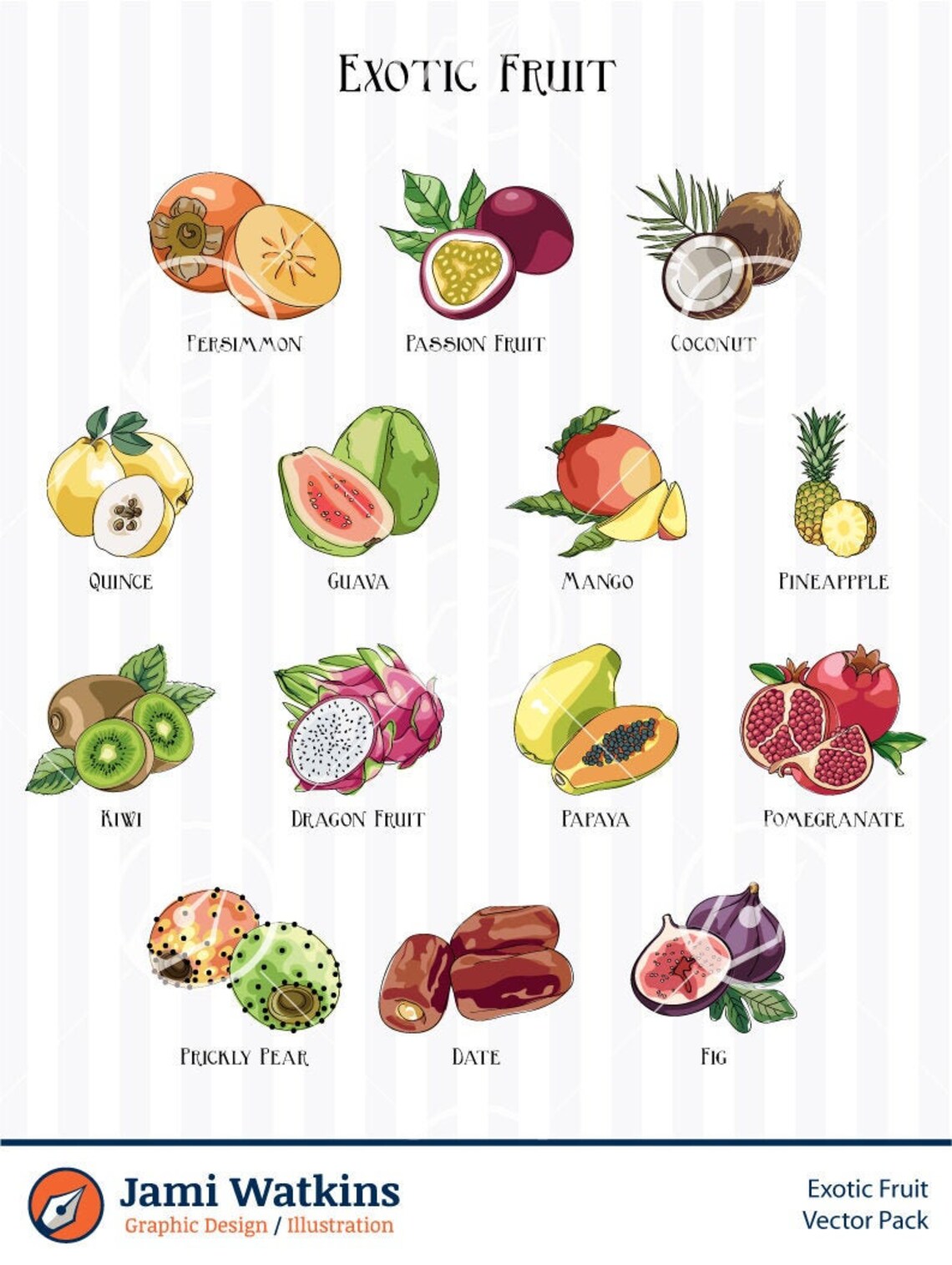 Exotic Fruit Vector Illustration Pack / Clip Art files: PNG | Etsy
