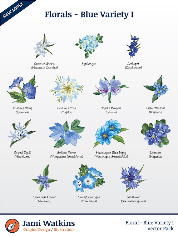 Types Of Light Blue Flowers
