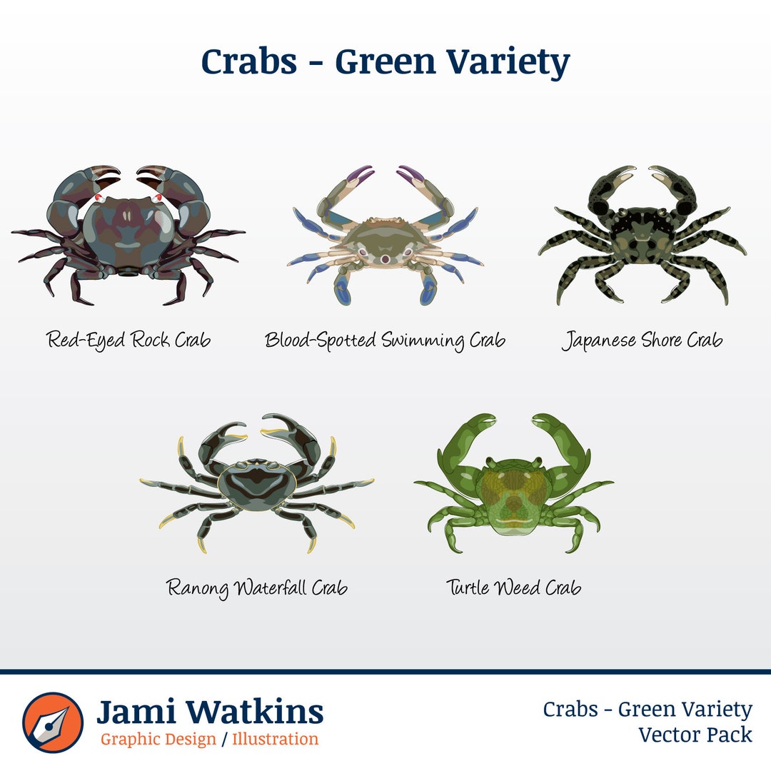 Green Crabs Vector Illustration Pack (set of 5) / Clip Art [files: PNG ...