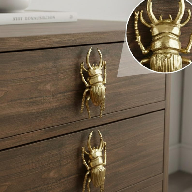 Vintage Brass Beetle Cabinet Knobs Polished Finish Drawer Pulls ...