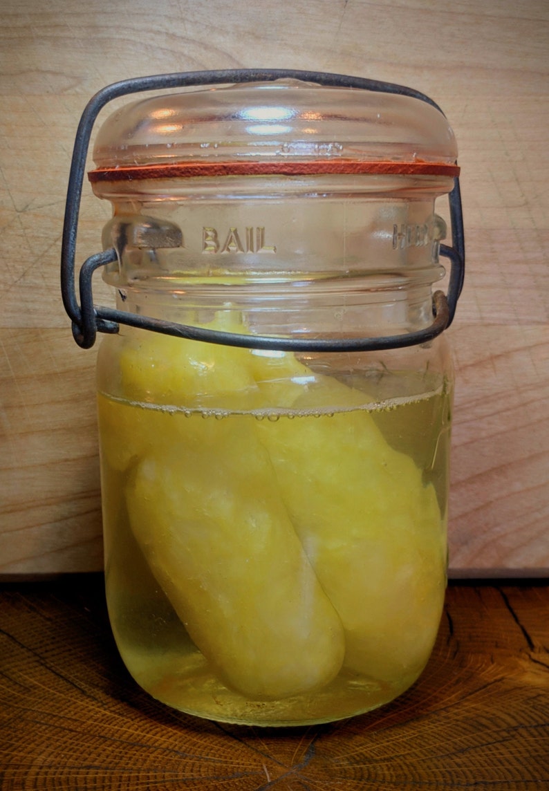 Suds for Buds Castile Soap Concentrate All Natural | Etsy