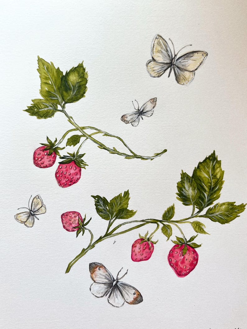 Strawberries & Butterflies - Etsy