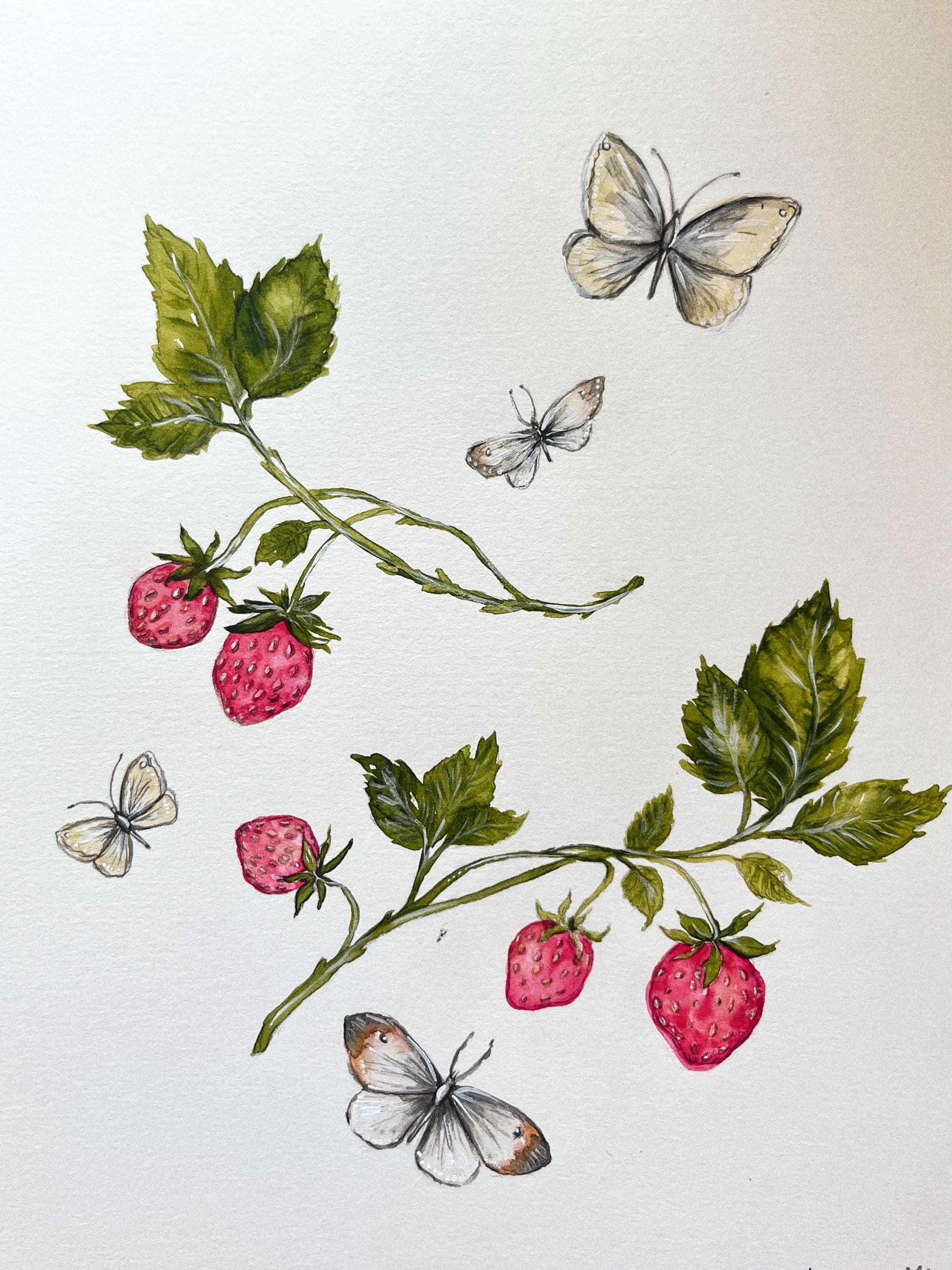 Strawberry & Butterflies Watercolor Painting, Original 8x10 Art - Etsy