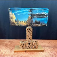 Cactus Skeleton Cholla Wood Lamp - Etsy