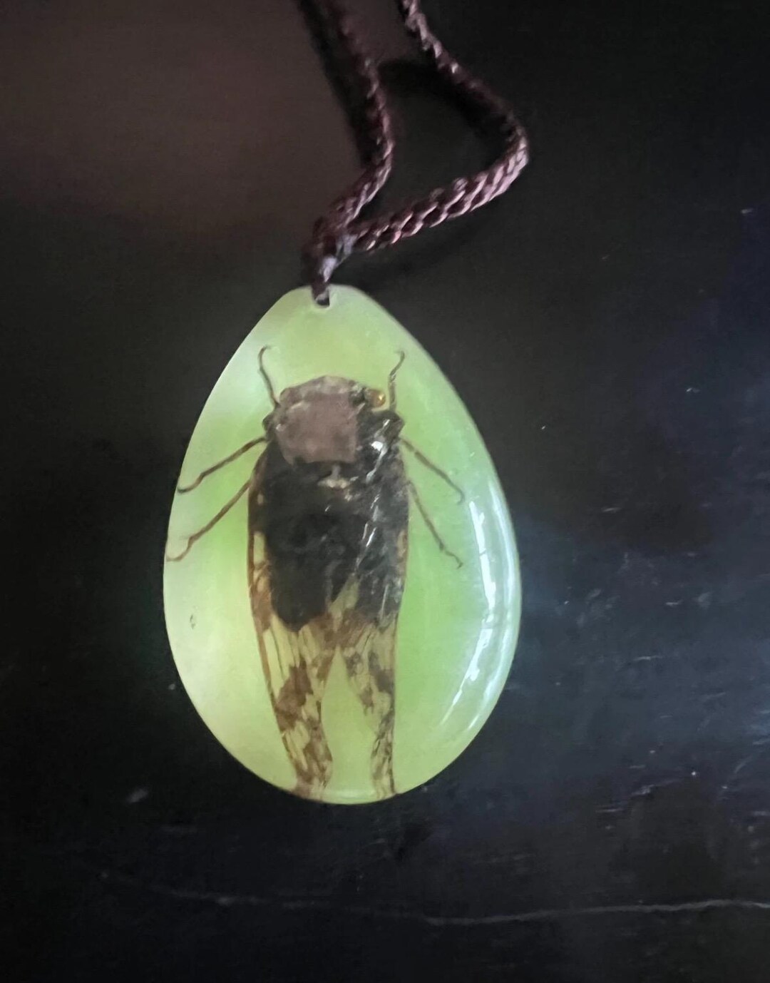 Real Cicada Necklace in Glow in Dark Resin - Etsy