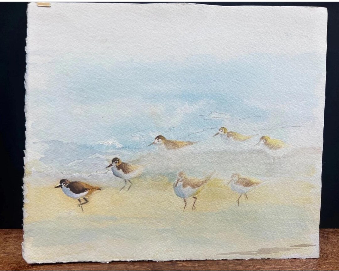 Sandpiper Bird Original Watercolor Painting - Etsy