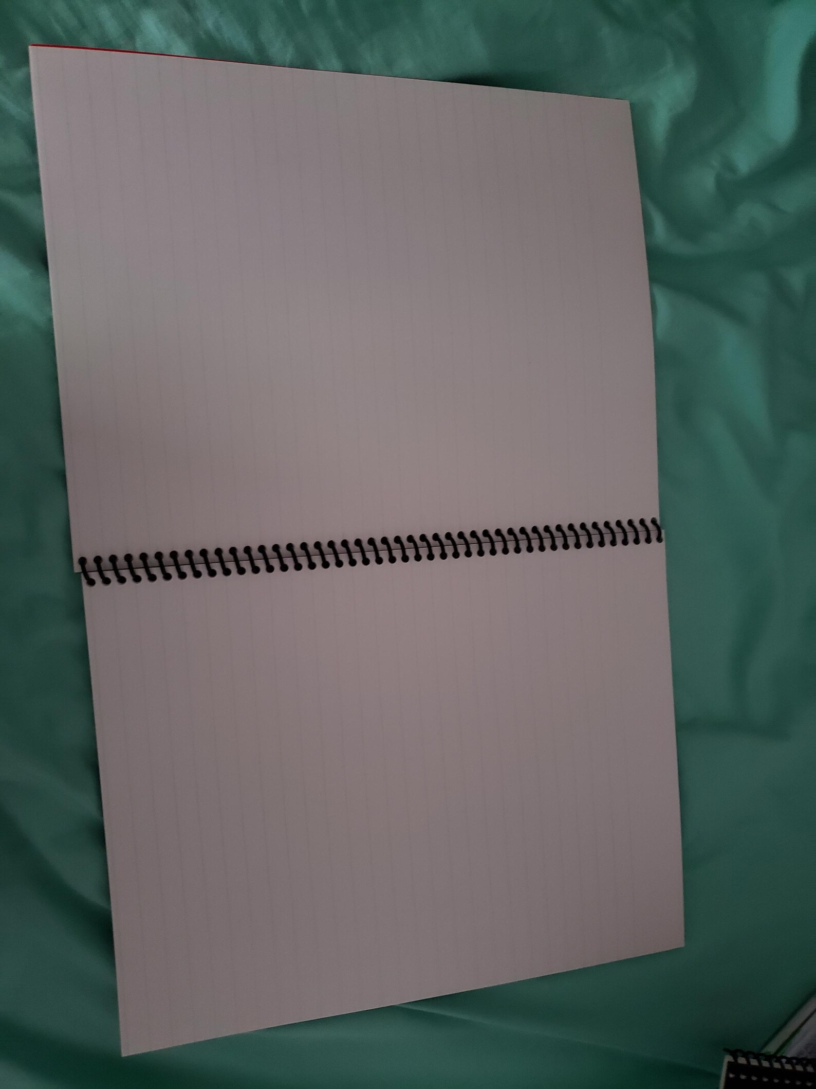 Alastor Smile Notebook/ Sticker Book - Etsy