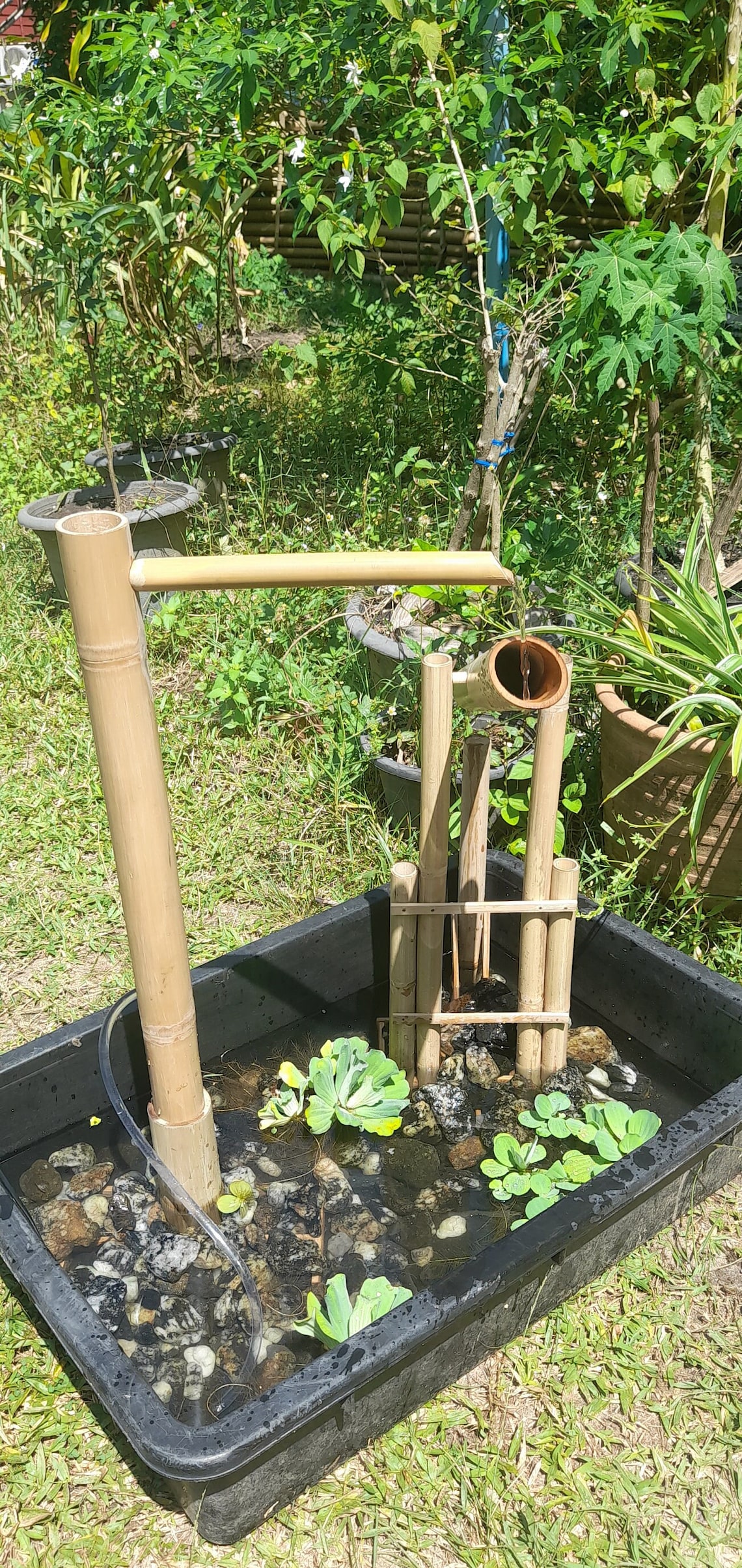 Bamboo Odoshi Fountain - Japanese Style Outdoor Water Feature (pump ...