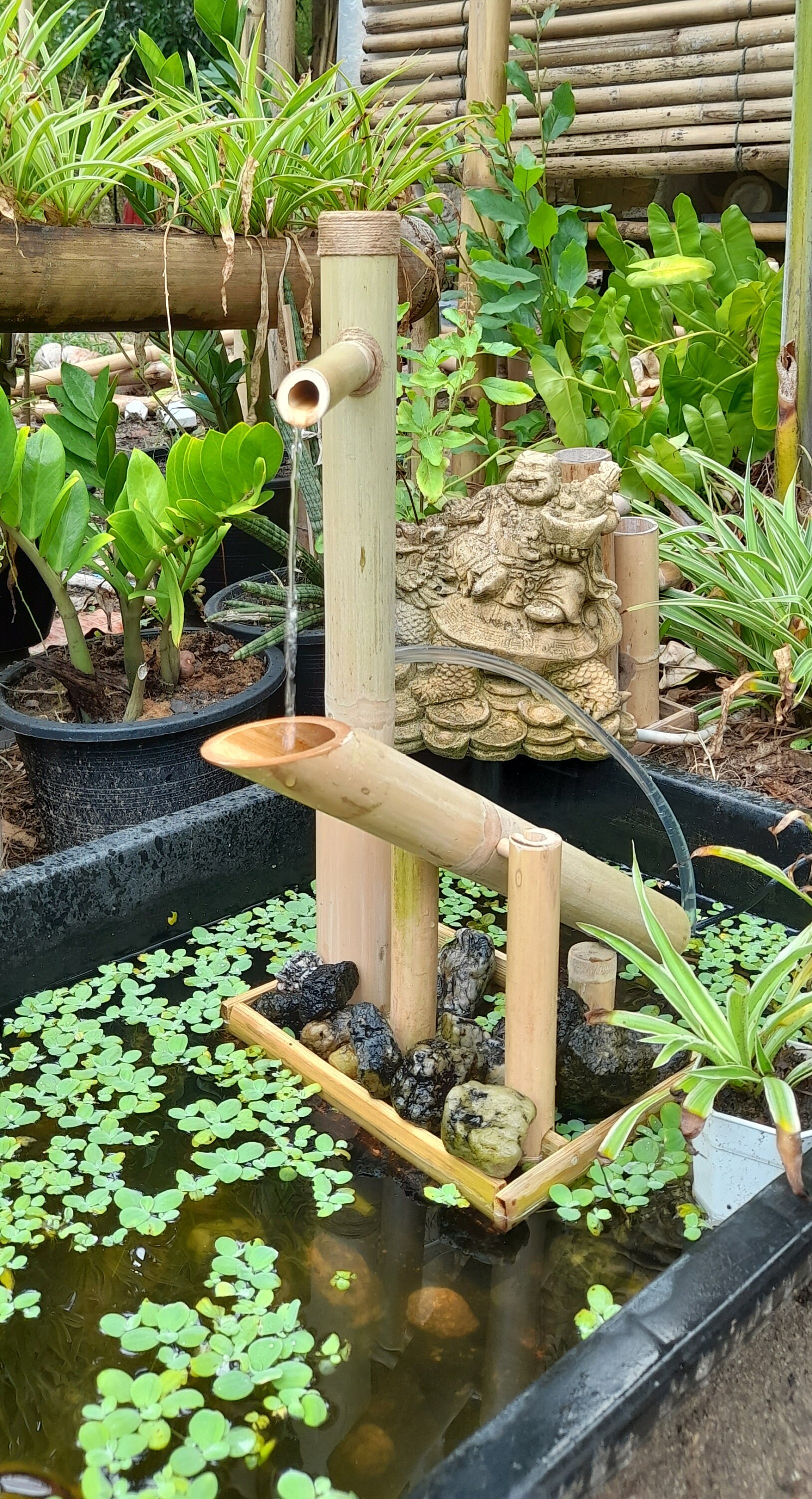 Bamboo Pond Fountain