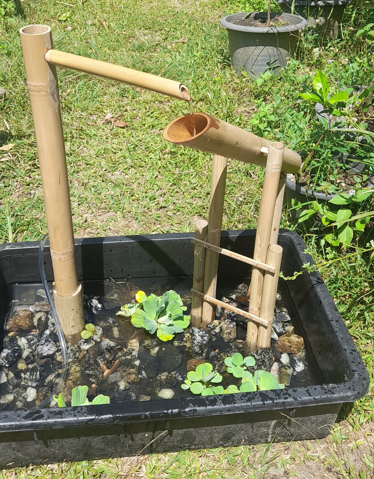Bamboo Odoshi Fountain - Japanese Style Outdoor Water Feature (pump ...