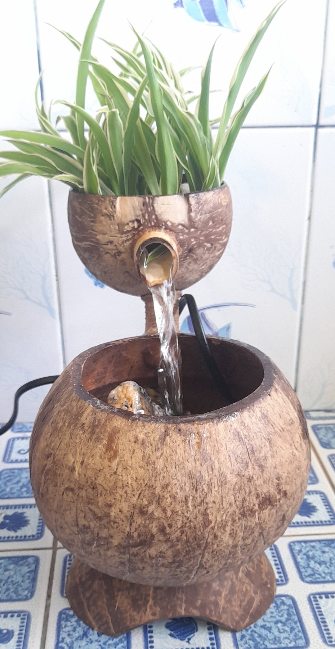 Table Top Fountain Coconut Fountain Indoor Coconut Fountain Real ...