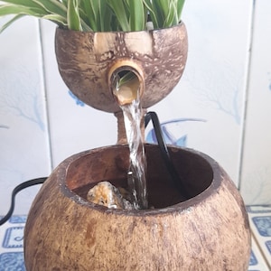Table Top Fountain Coconut Fountain Indoor Coconut Fountain Real ...