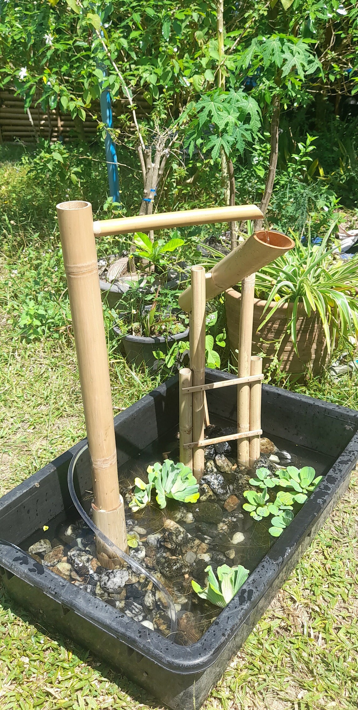 Bamboo Odoshi Fountain - Japanese Style Outdoor Water Feature (pump ...