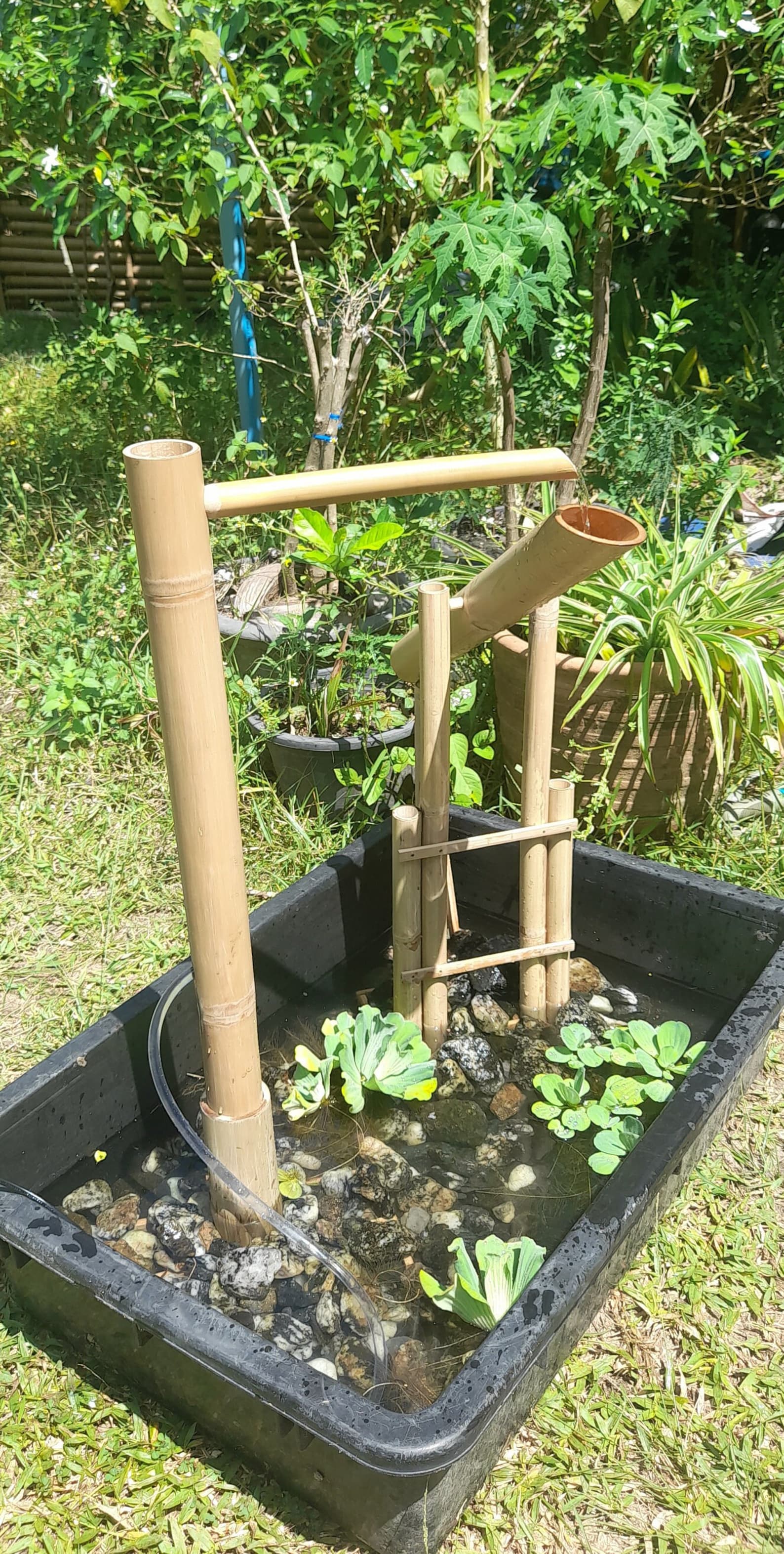 Bamboo Odoshi Fountain - Japanese Style Outdoor Water Feature (pump ...