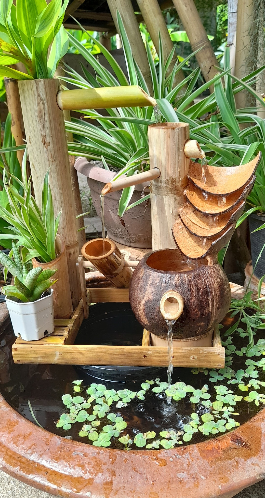 Handmade Bamboo Coconut Solar Fountain, Thailand Design - Etsy