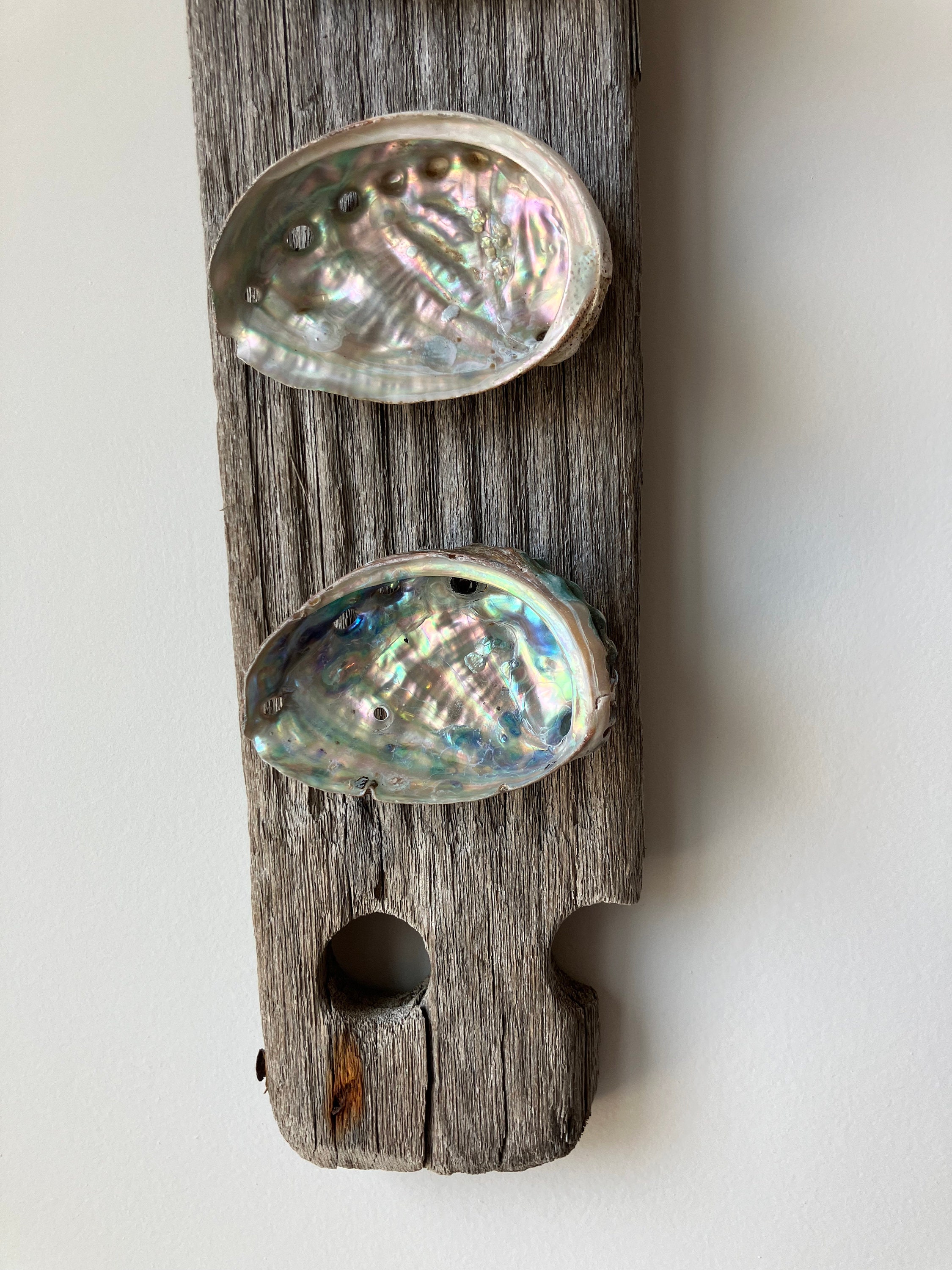 Abalone Shell and Driftwood Wallpiece - Etsy
