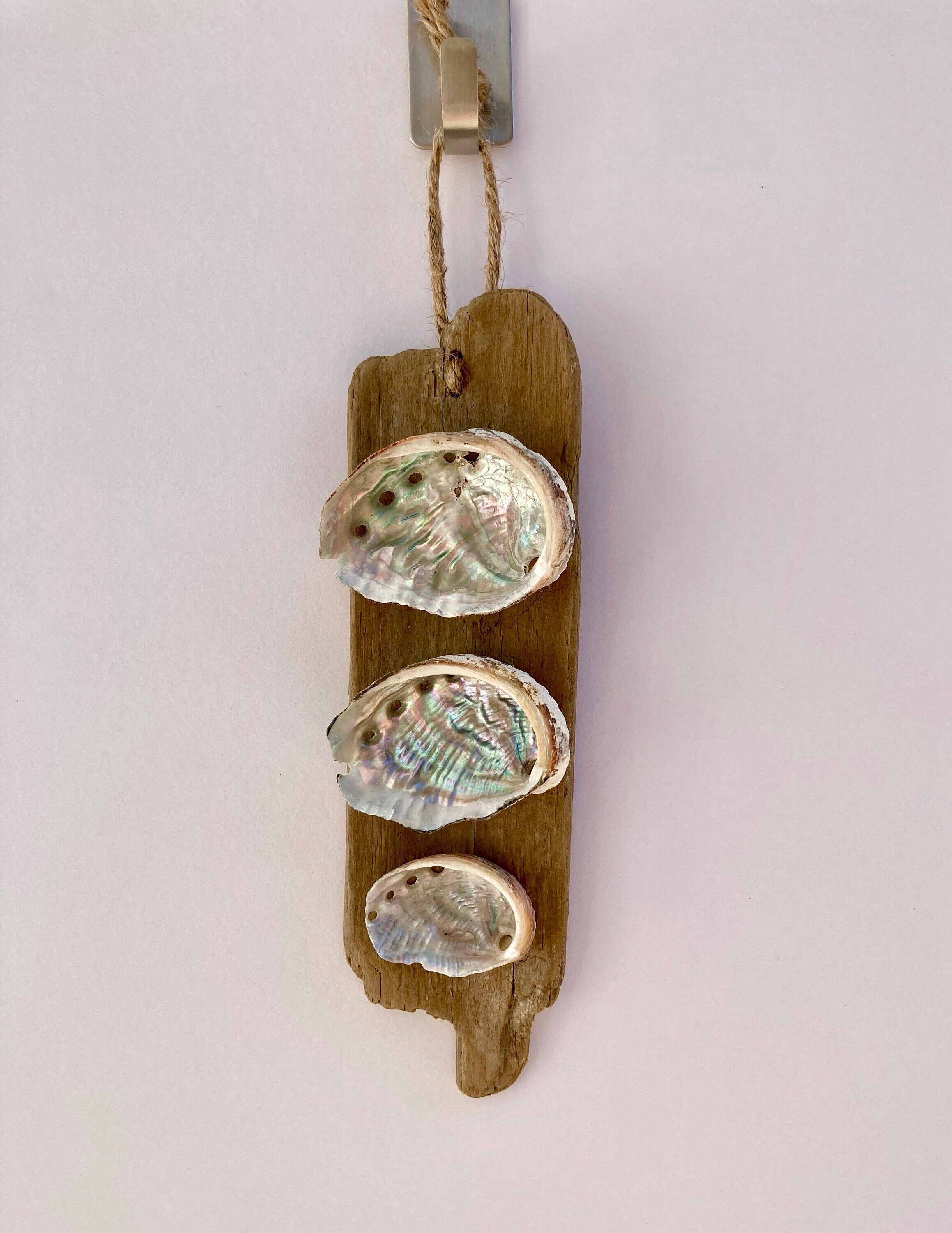 Mini Abalone Shell Wall Piece | Etsy