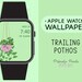 Apple Watch Wallpaper | Trailing Pothos | Hanging Houseplant Watch Face ...