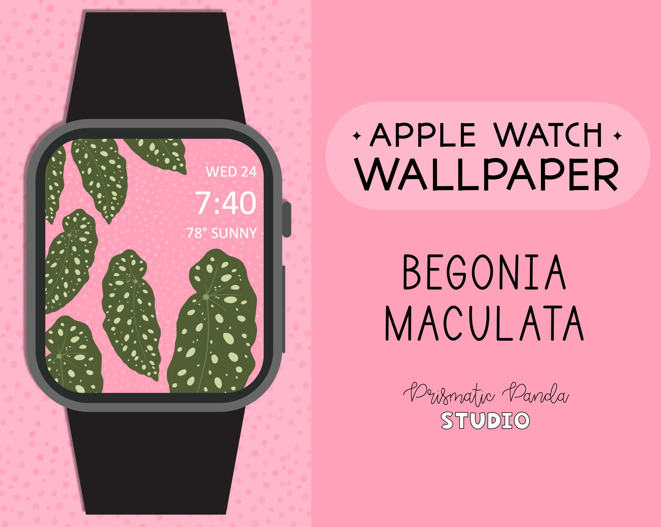Apple Watch Wallpaper | Begonia Maculata | Houseplant Watch Face ...