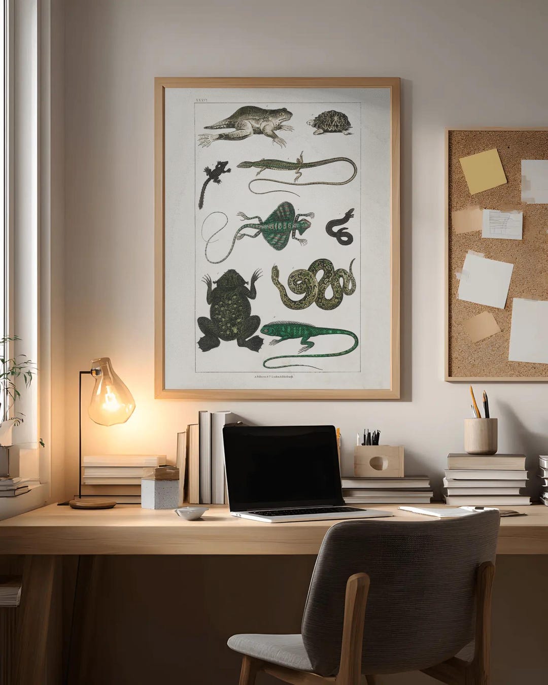 Scientific Reptile Poster – Victorian Illustration by Oliver Goldsmith ...