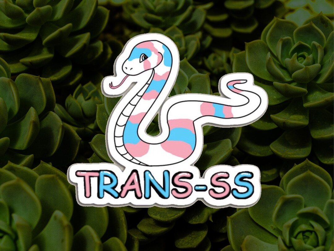 Transss Transgender Pride Snake Sticker, Transgender Pride Flag, Cute ...