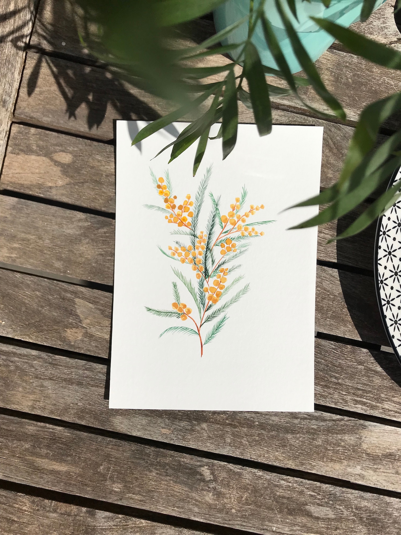 Mimosa Plant Download / Botanical Illustration / Mimosa / Floral Wall ...