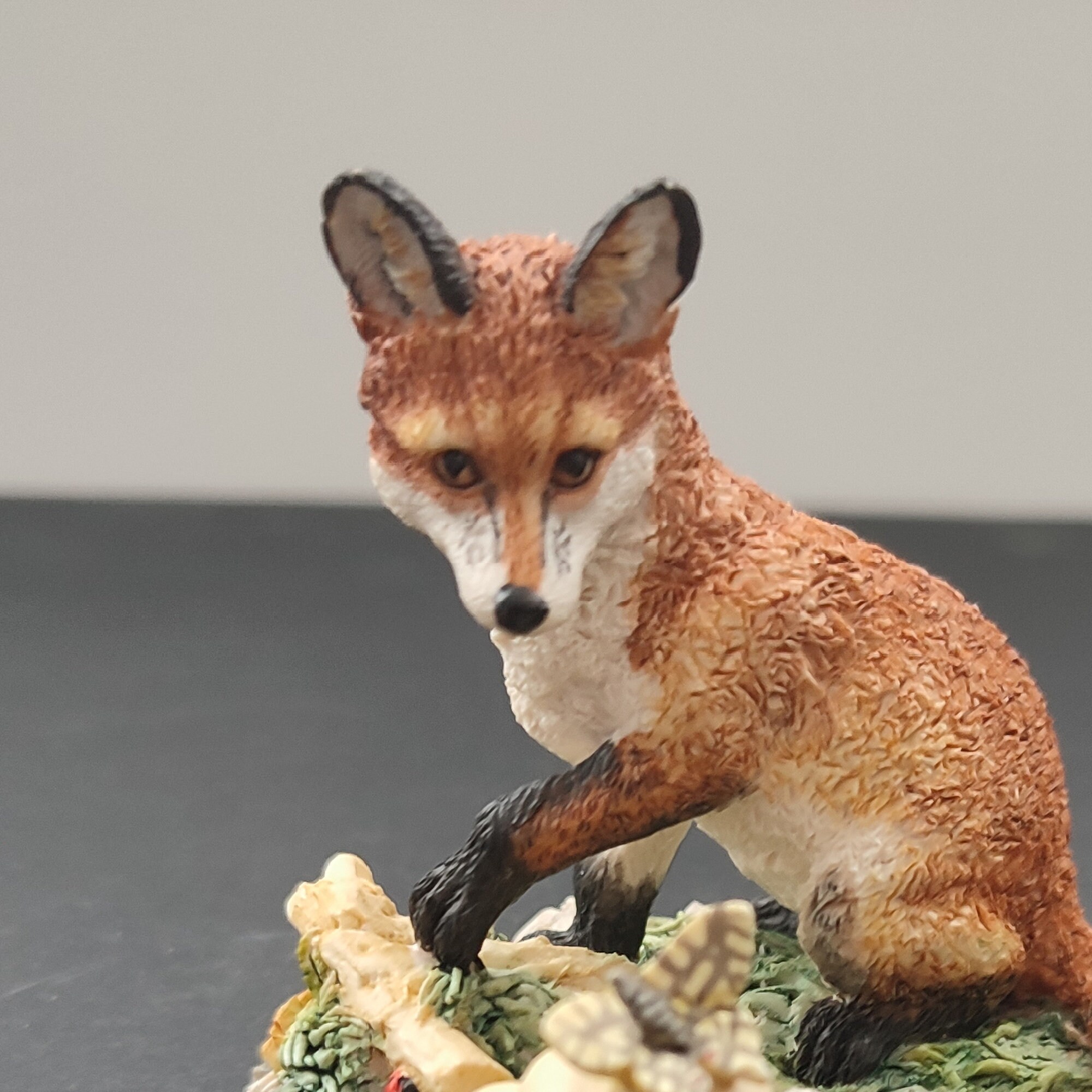 Nature's Kingdom FT01 Look See Border Fine Arts Scotland Fox and ...