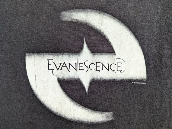 Vintage 2003 Evanescence T-Shirt Fallen Album Era Alt… - Gem