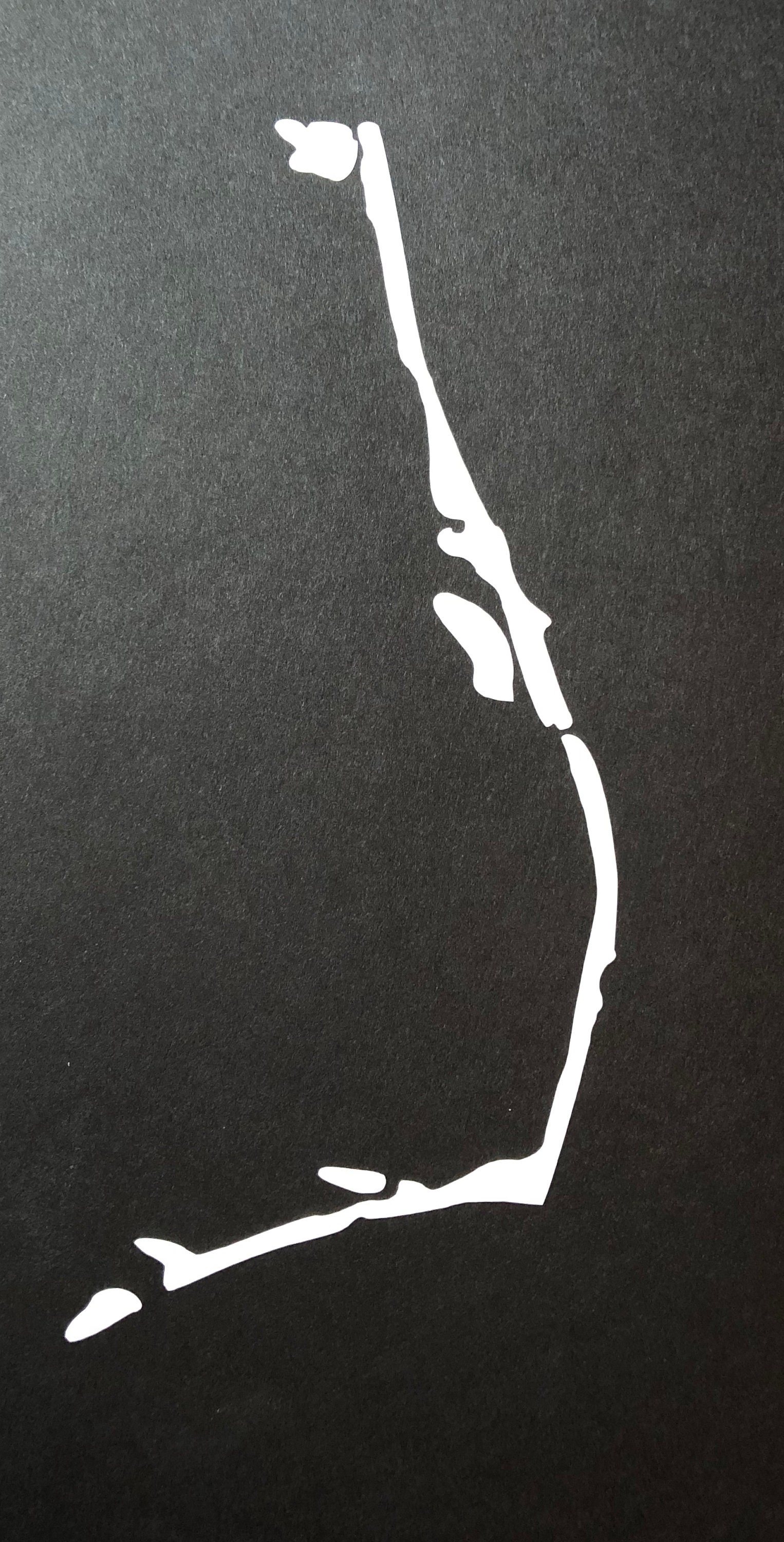 Islands of the Outer Banks Decal | Etsy