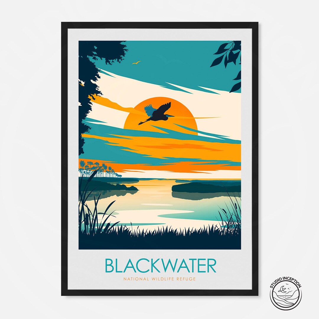 Blackwater Print, National Wildlife Refuge Maryland Poster, United ...
