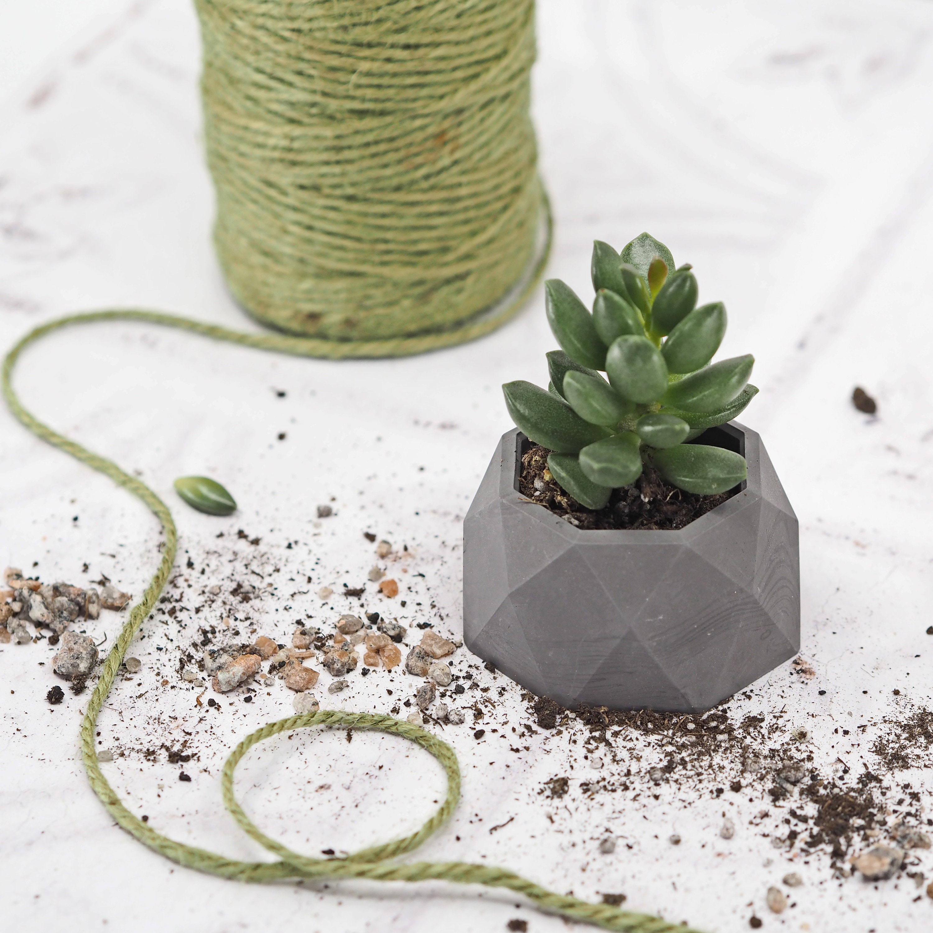 Geodesic Mini Pot Succulent Planter Geometric Concrete | Etsy