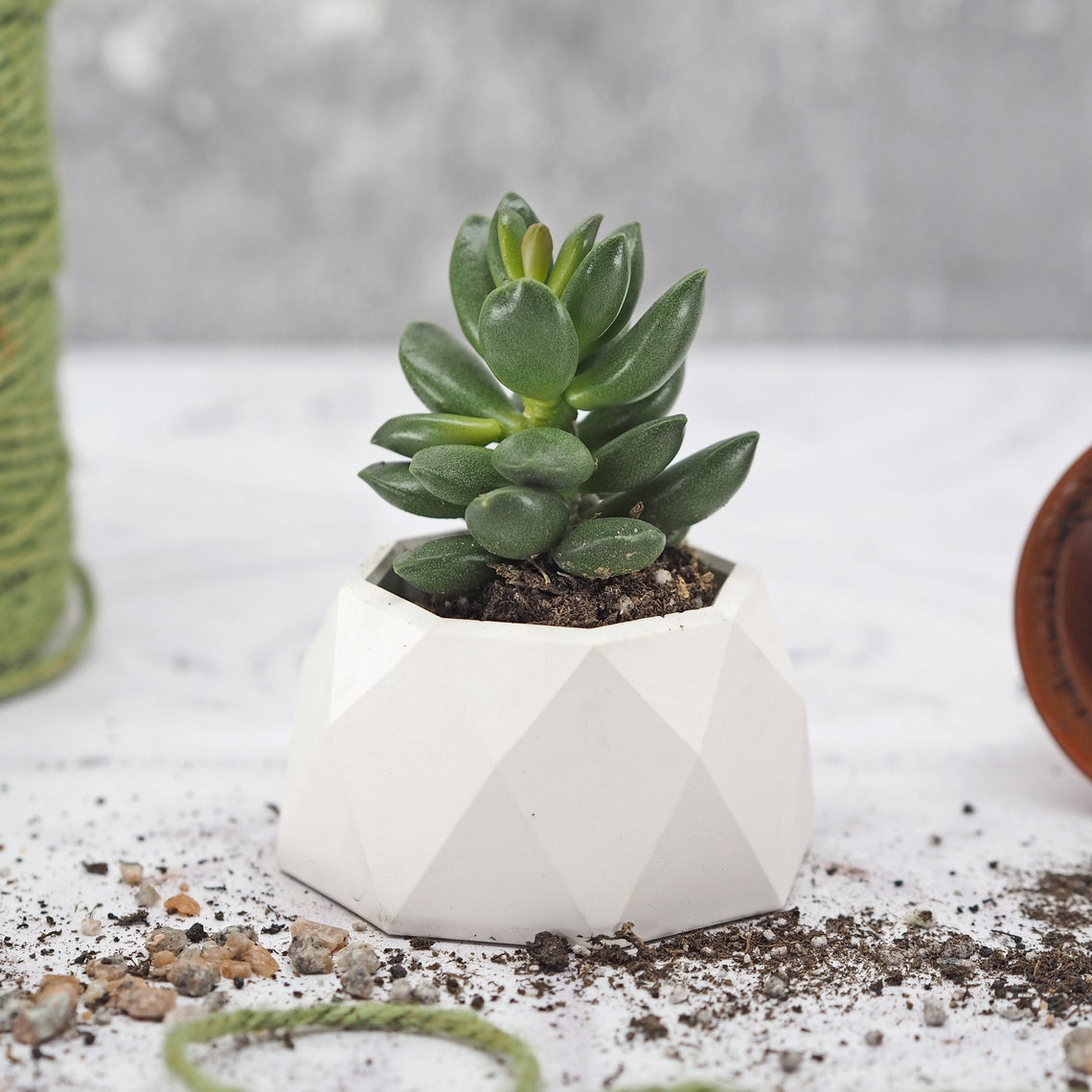 Geodesic Mini Pot Succulent Planter Geometric Concrete | Etsy