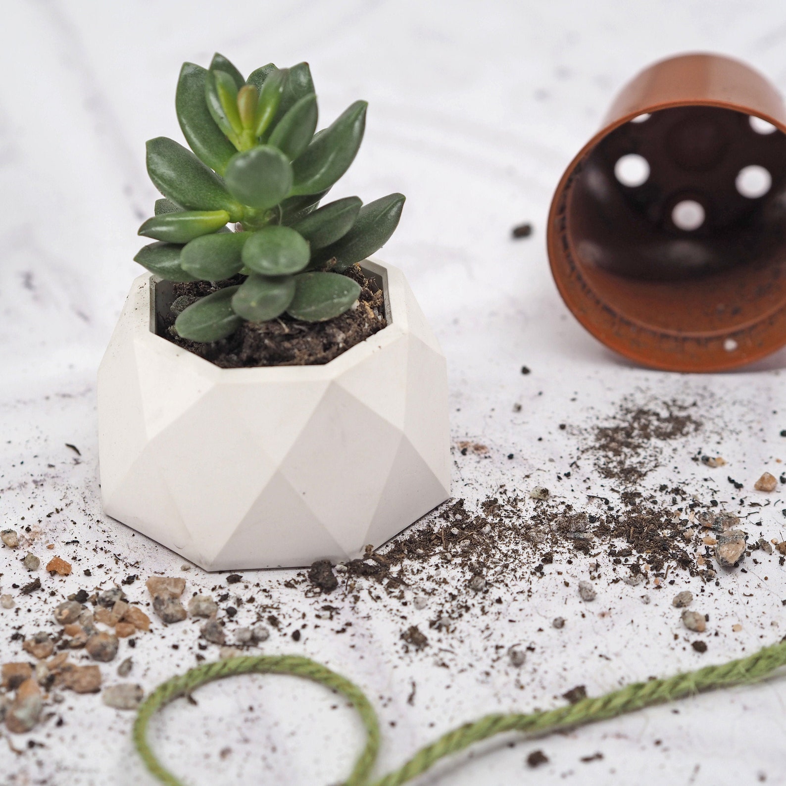Geodesic Mini Pot Succulent Planter Geometric Concrete | Etsy