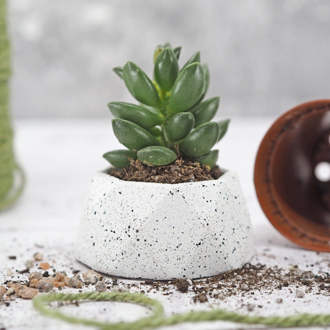 Geodesic Mini Pot Succulent Planter Geometric Concrete | Etsy