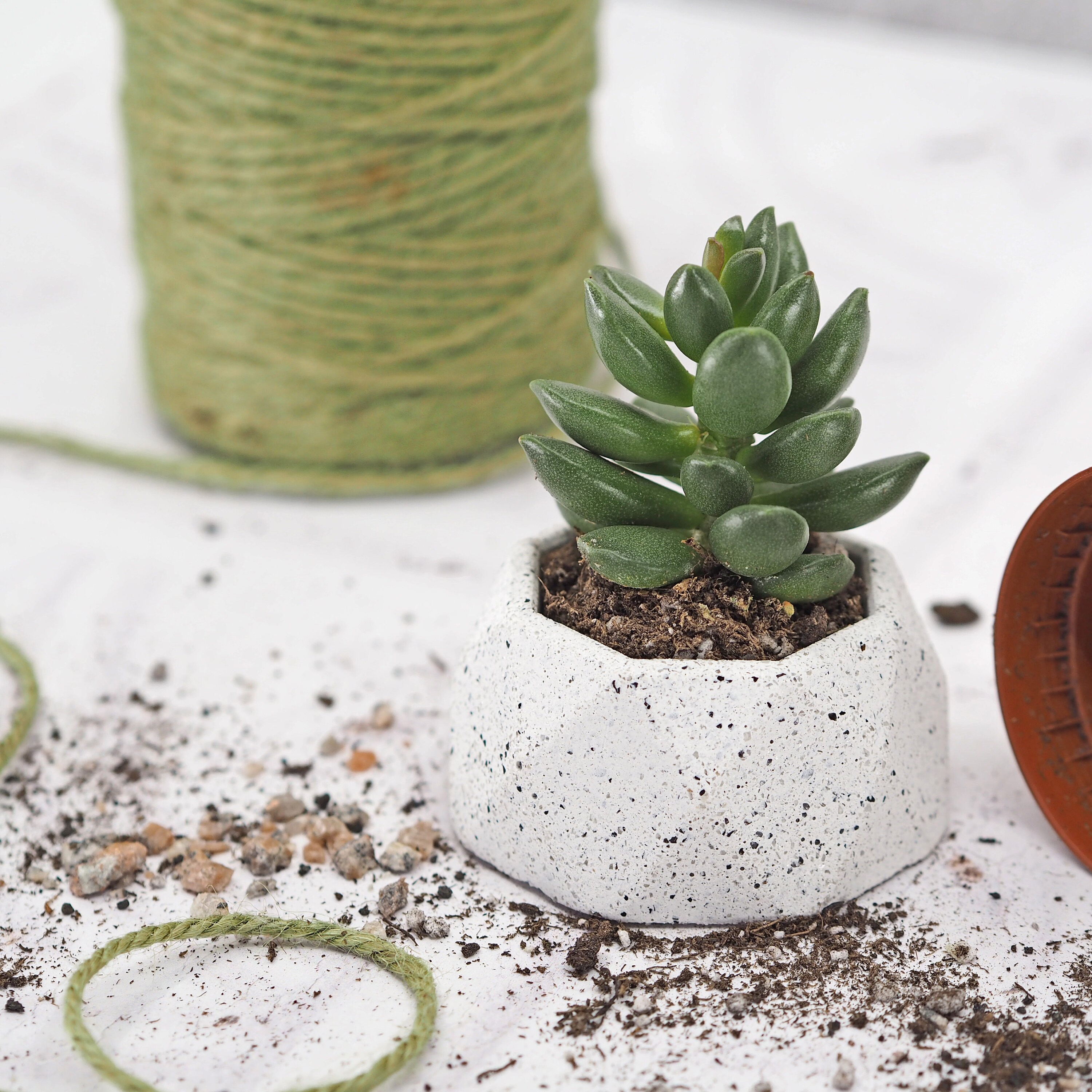 Geodesic Mini Pot Succulent Planter Geometric Concrete | Etsy