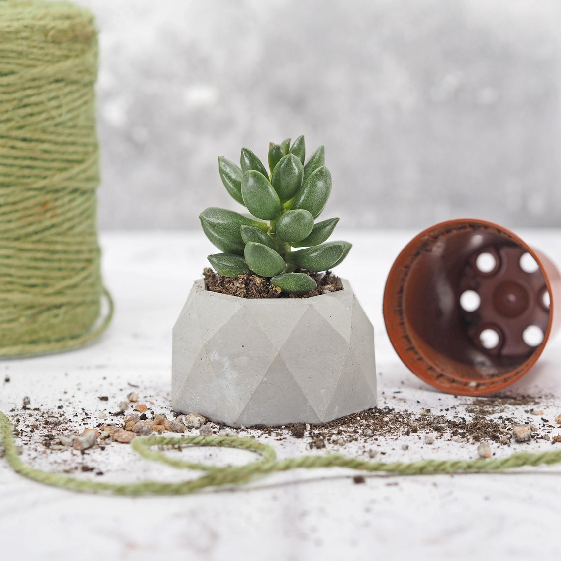 Geodesic Mini Pot Succulent Planter Geometric Concrete | Etsy