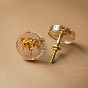 Real Dried Brown Hydrangeas Flower in See-through Brown Furniture Knob - Etsy