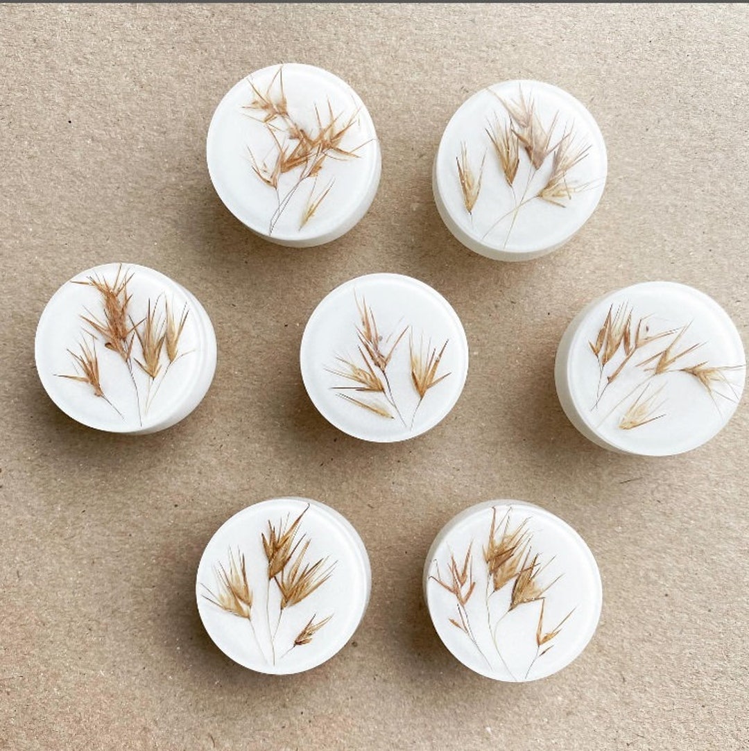 Pampas Grass White Furniture Knobs With Real Nature, Gift Idea, Nighstands, Dresser Pulls ...