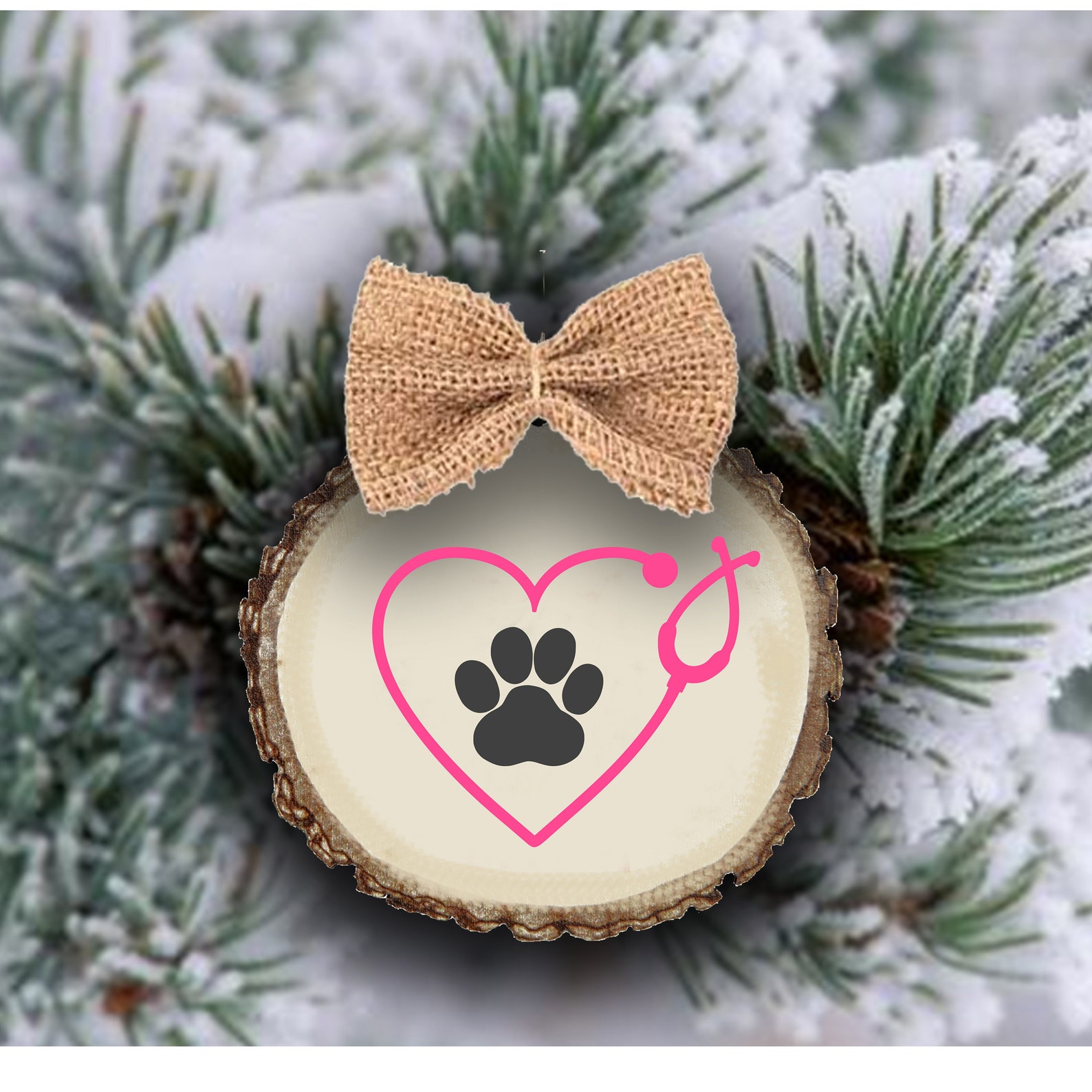Vet Tech Svg, Veterinary Technician Paw Print Stethoscope Svg ...