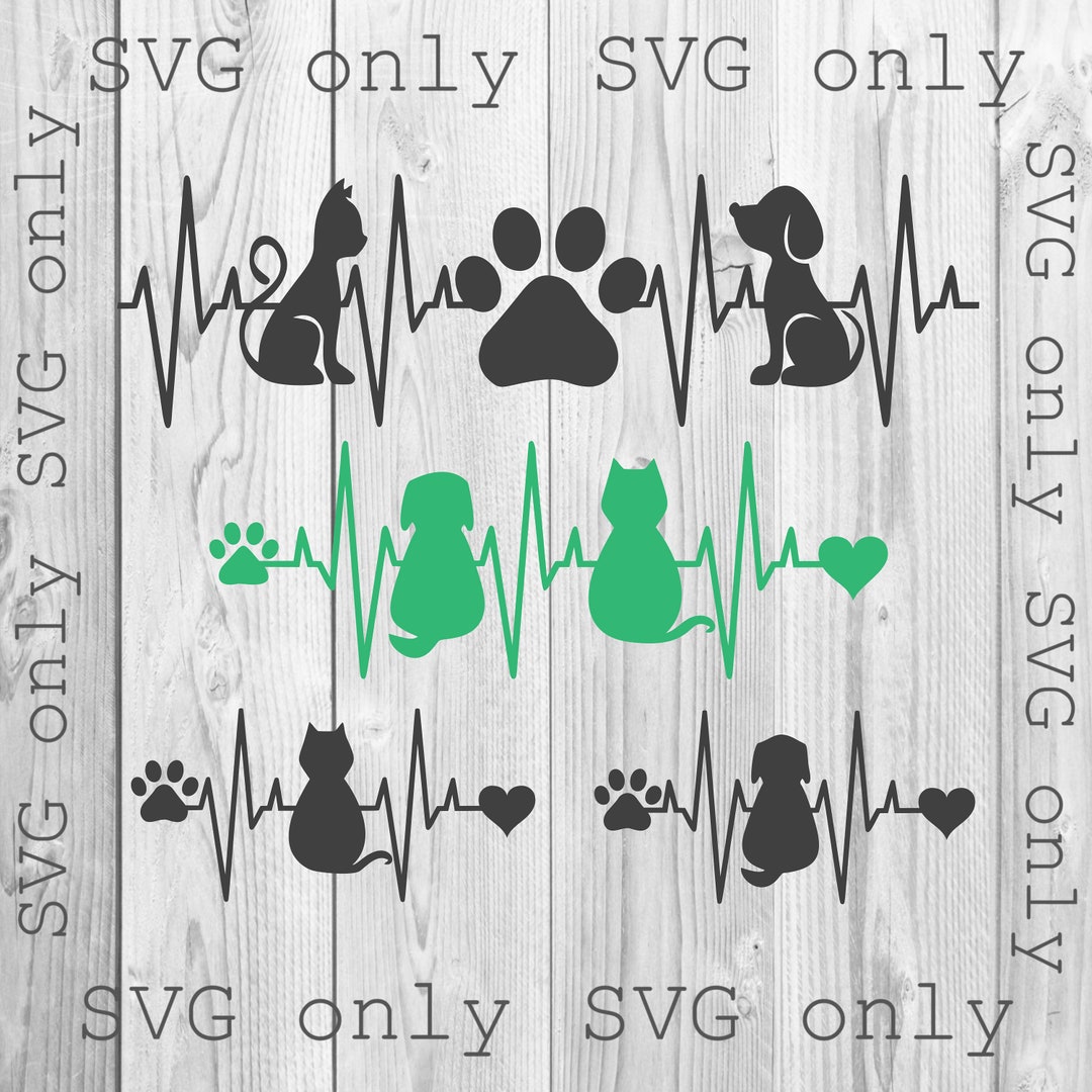 Vet Tech Svg, Vet Tech Stethoscope, Stethoscope Svg, Paw Print SVG, Vet ...